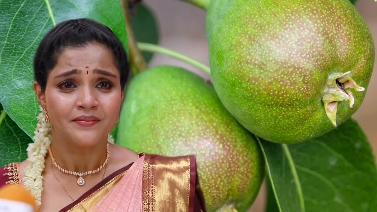 Mahanadhi Serial 22nd to 23rd May 2025 - Promo - YouTube