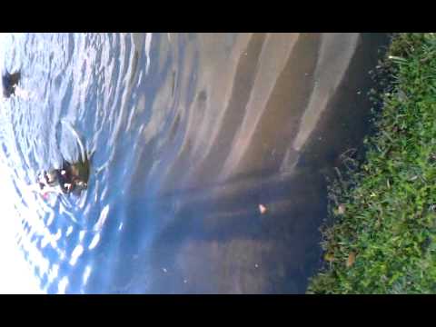 February 19, 2012 4:49 PM - YouTube