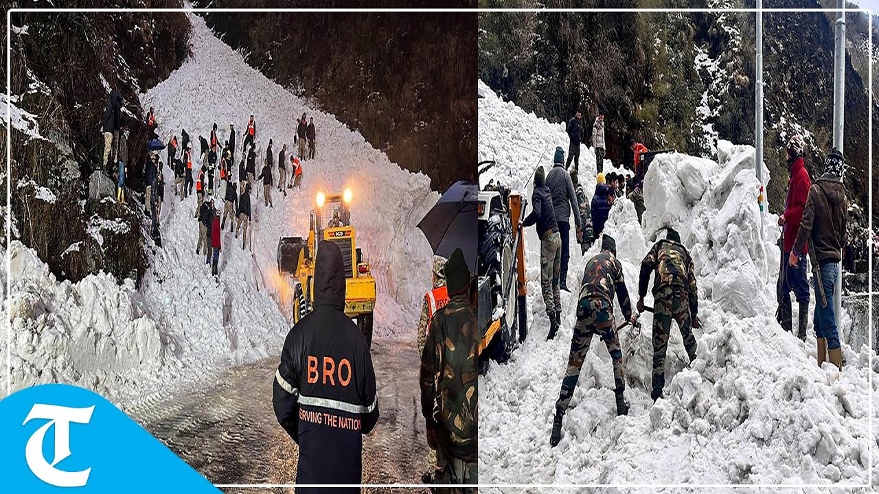 Seven killed, over dozen injured as avalanche hits Sikkim's Nathu La ...