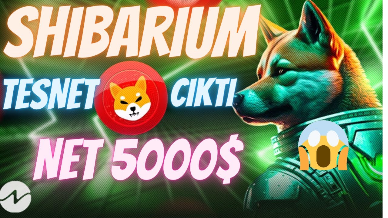 Shibarium Testnet Airdrop CIKTI NET 5000 USD? - YouTube