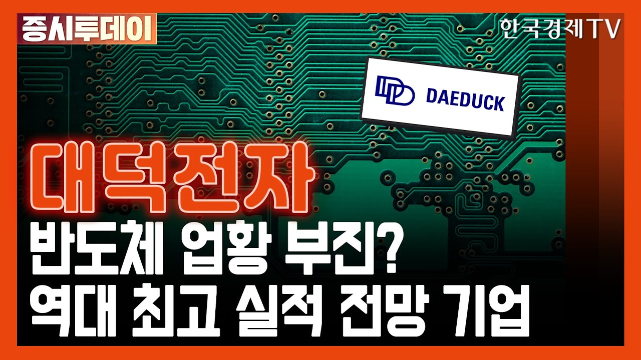 대덕전자 반도체 업황 부진 역대 최고 실적 전망 기업은 이동근 하이투자증권 투자솔루션부 염정 더블유인베스트 블록
