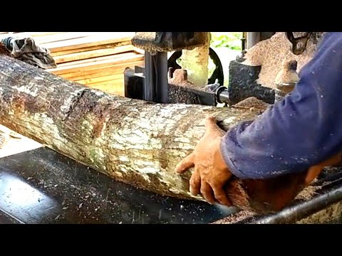 Serat Padat Menakjubkan Kayu Racuk Mahoni Di Gergaji Bahan Bangunan ...