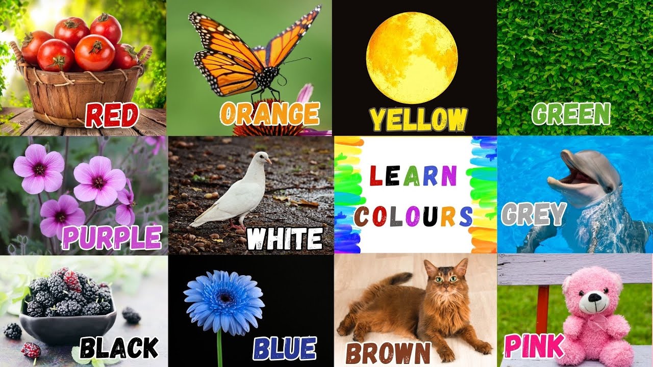 Color song for kids and toddlers | We Love all the Colors |Nursery ...