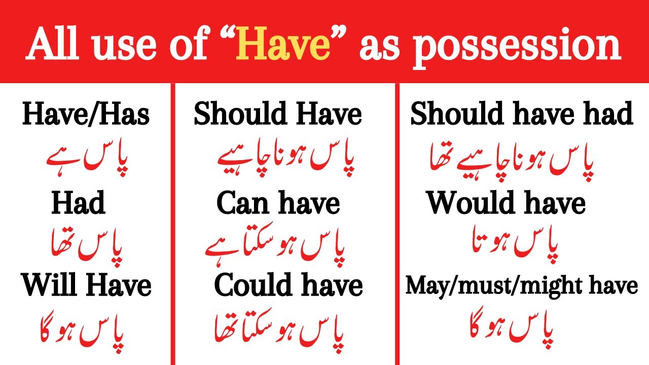 Use of "Have" as possession | All Use of Have | Modal Verbs | Uses of ...