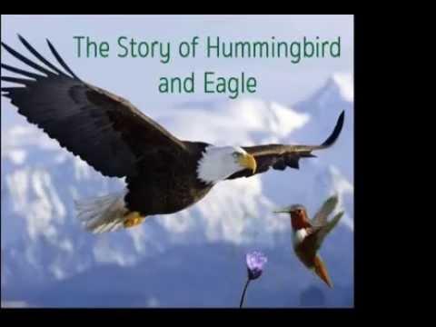 The Story of Hummingbird and Eagle - YouTube