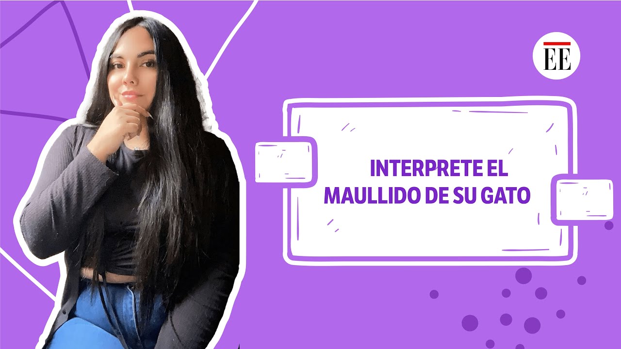 🐈 ¿Qué significa el maullido de un gato? - YouTube