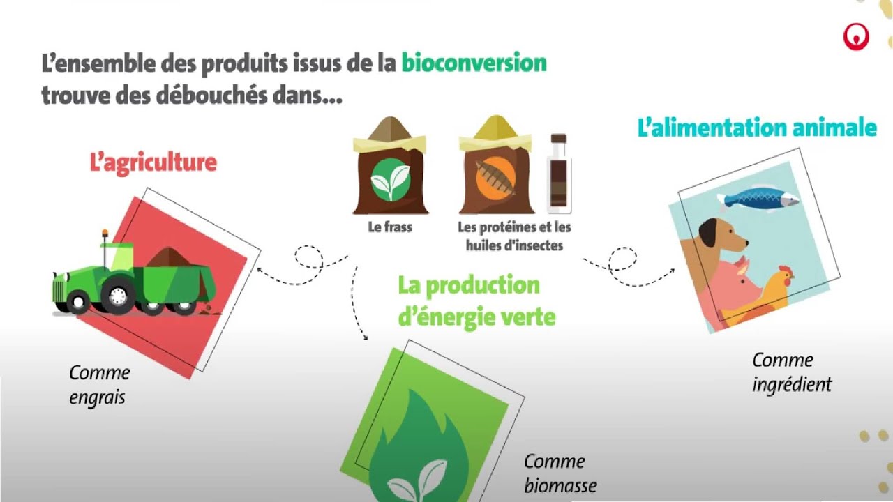 Comprendre la bioconversion en 2’ | Veolia - YouTube