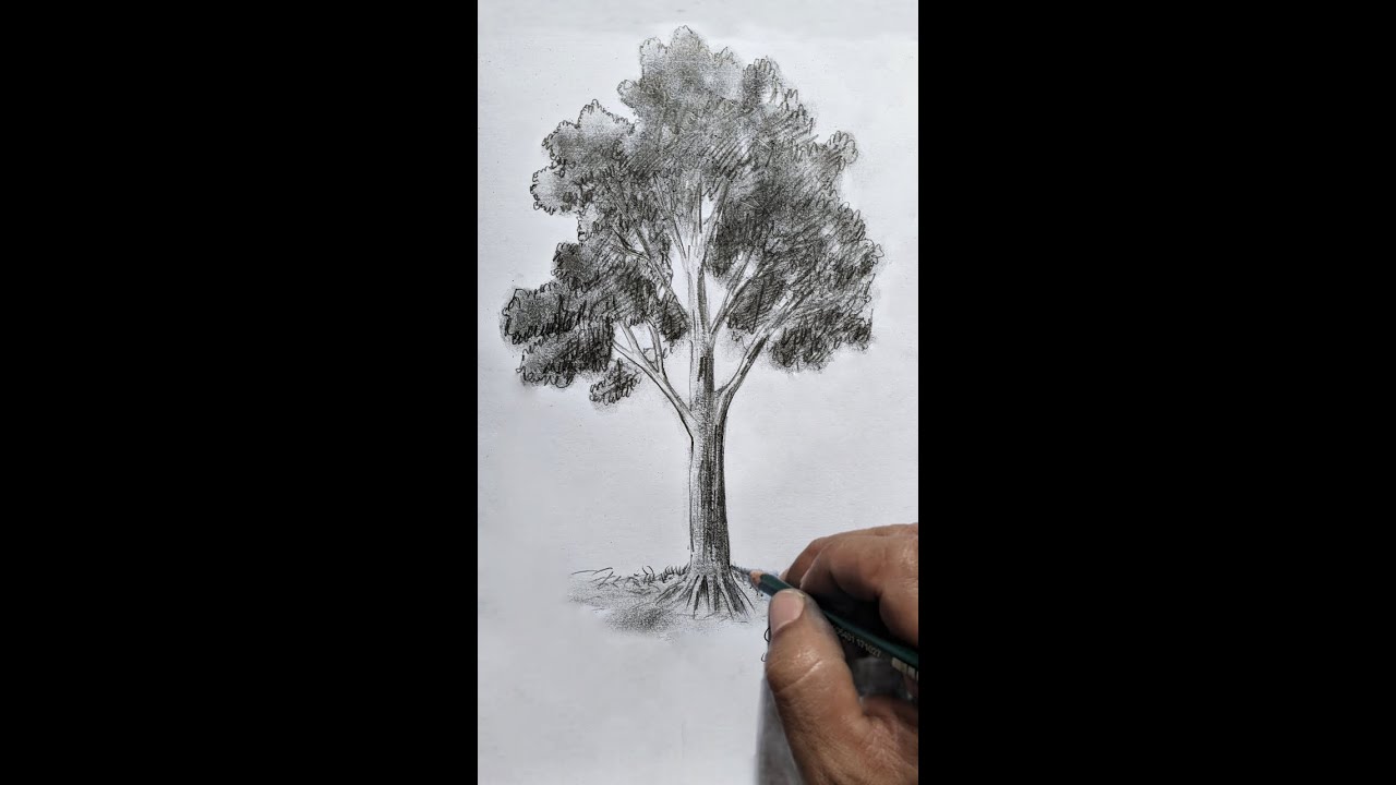 Cara cepat menggambar pohon pakai pensil || easy drawing tree - YouTube