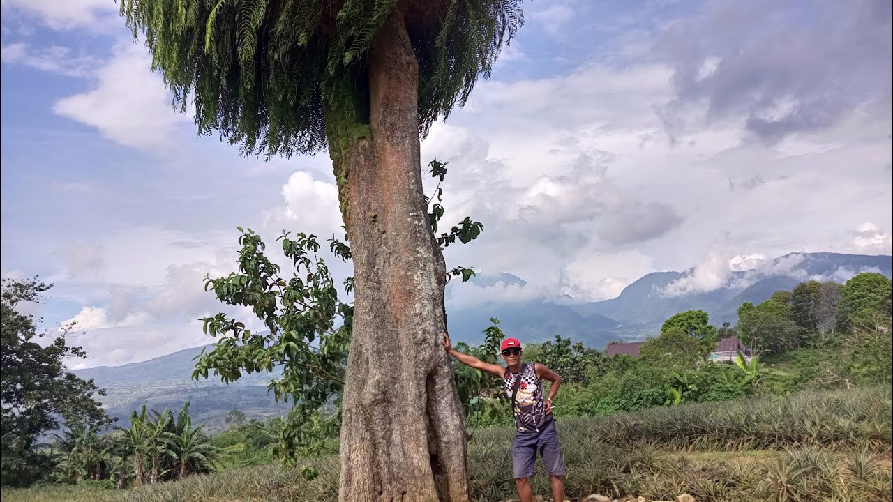 The Tanaka's symbol - YouTube