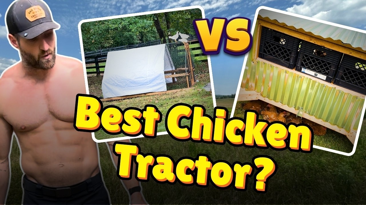 ChickShaw 5.0 vs. Suscovich Mobile Chicken Tractor Comparison! - YouTube