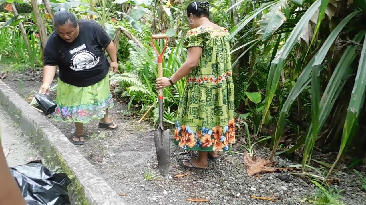 Pingelap 4 Women s International Day Activities Pingelap Atoll pingelap-4-women-s-international-day-activities-pingelap-atoll