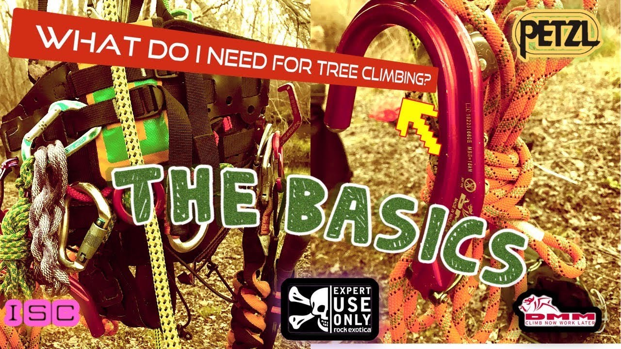 Tree Climbers Guide: Beginners Climbing Kit - YouTube
