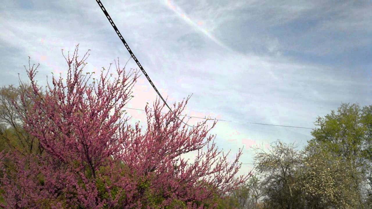 Anatomy of my 80M delta loop. - YouTube