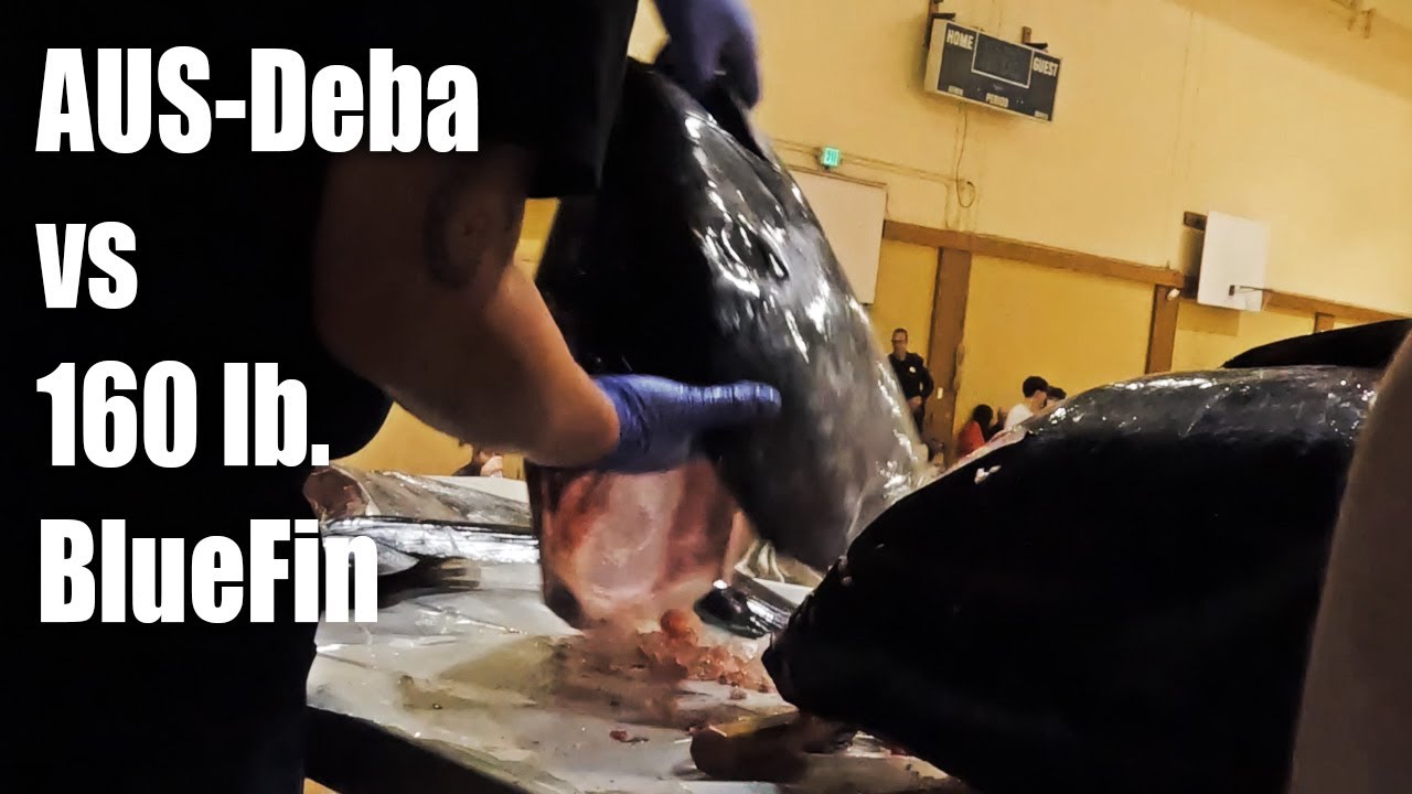 160lb. BlueFin Tuna Cutting show Sep. 14th. Sat. San Jose, CA - YouTube