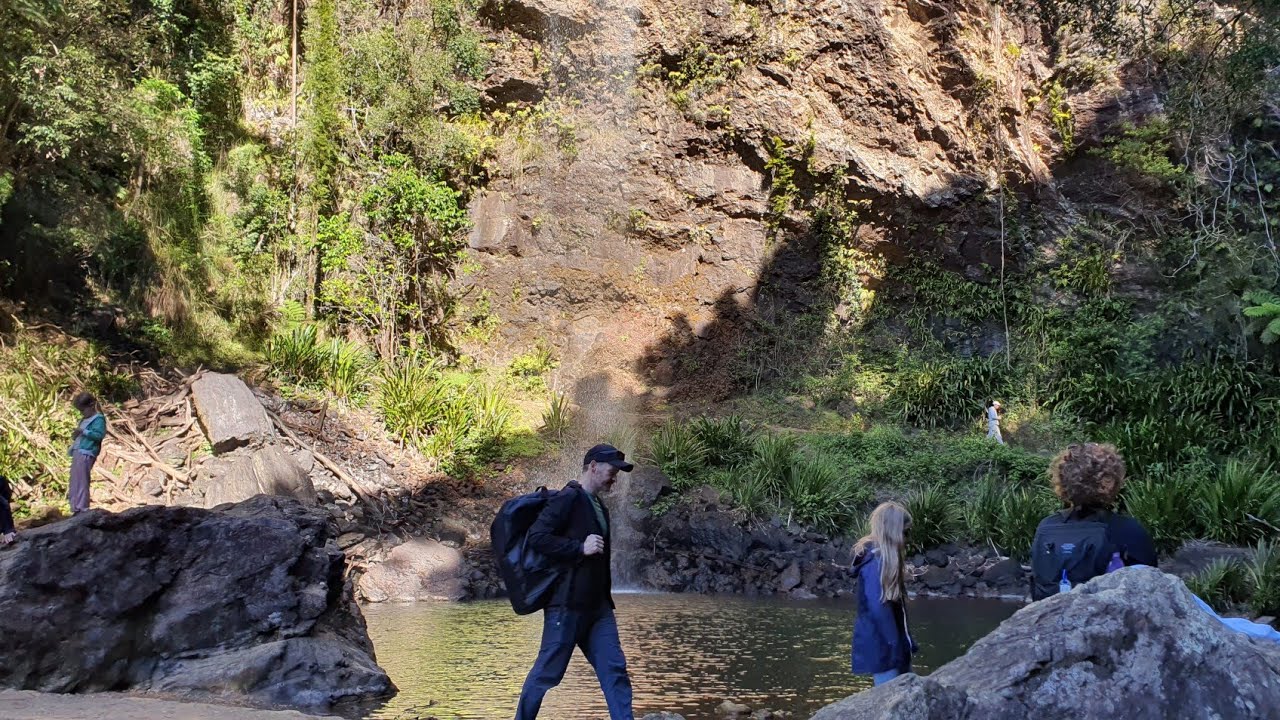 [4k] Springbrook National Park Walking Tour | Gold Coast | Queensland ...