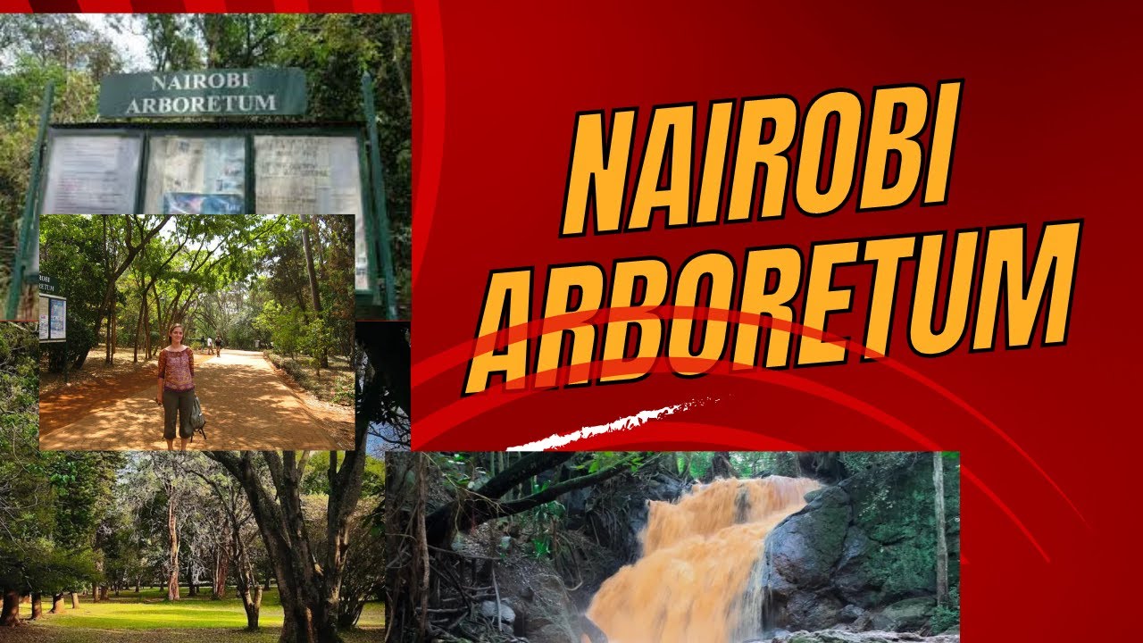 Why Nairobi Arboretum? - YouTube