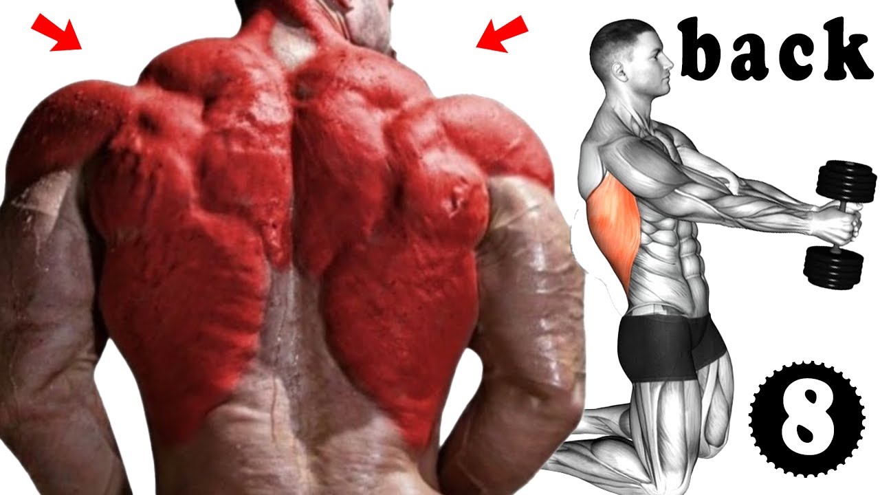 8 Best Effective Back Exercises Back Workout - YouTube