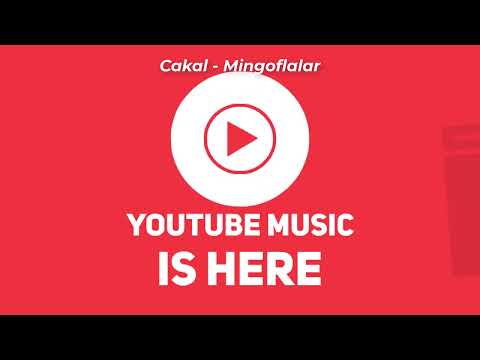 Bildirim sesi-Zil sesi-Mesaj sesi (77)  - Cakal - Mingoflalar