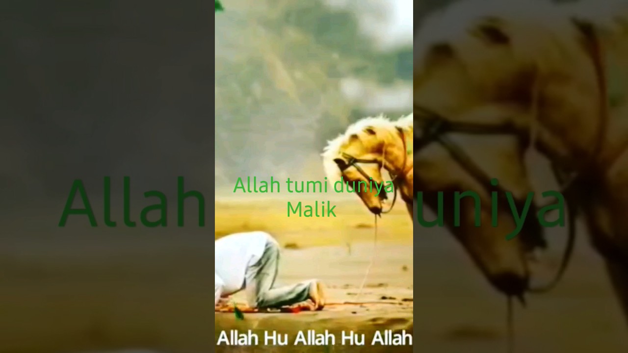 allah tumi duniyar malik allah hu allah app sabki madat farma amen # ...