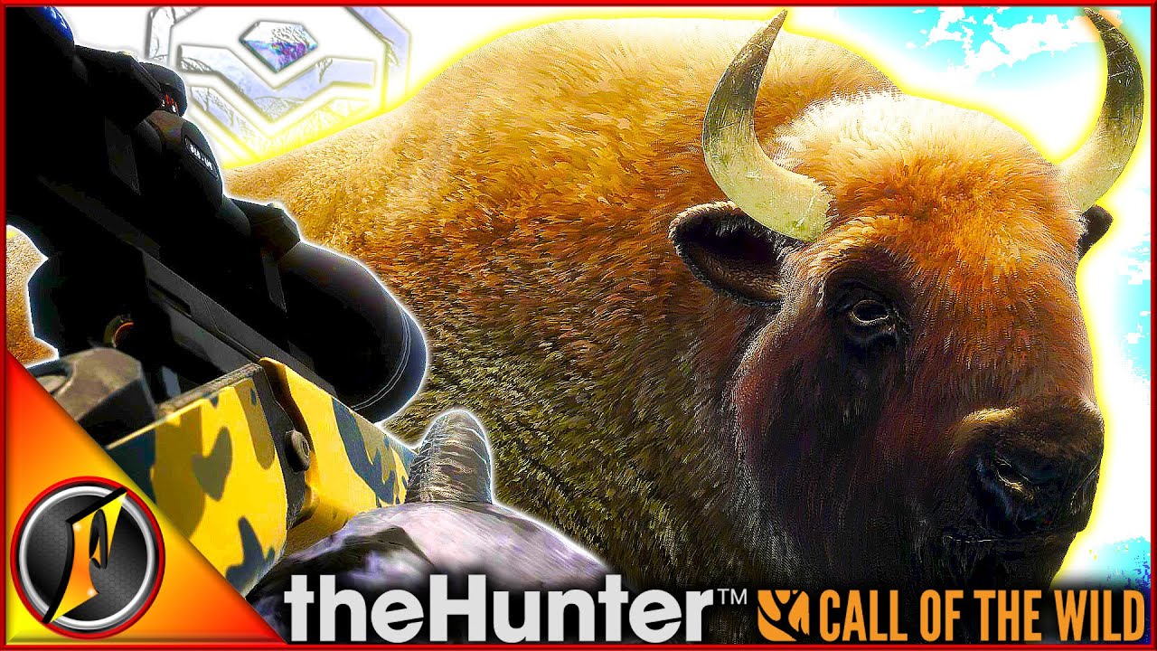 Twice the Maps, Twice the TROPHIES?!? | Bison Bonanza Mount Complete ...