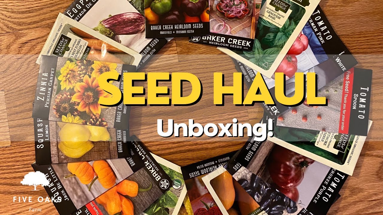 Seed HAUL Unboxing! | Garden Season 2024 | My Top Picks for this Season ...