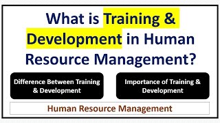 Why is training and development important in HRM? – ACADEMIC MAKERS