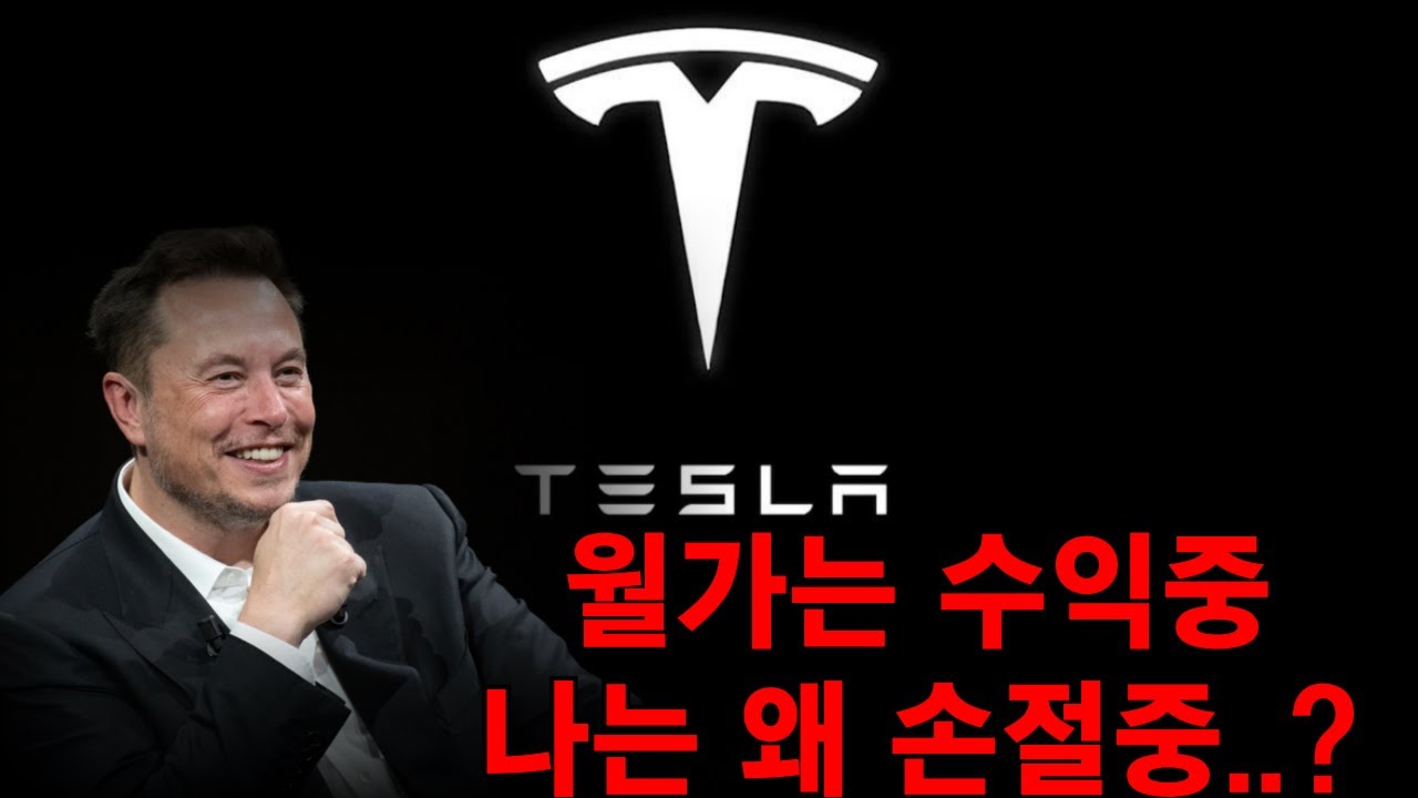 테슬라 월가는 돈버는데 나는 왜 손절일까 테슬라 테슬라주가 테슬라주가전망 테슬라주식 테슬라전망 일론머스크