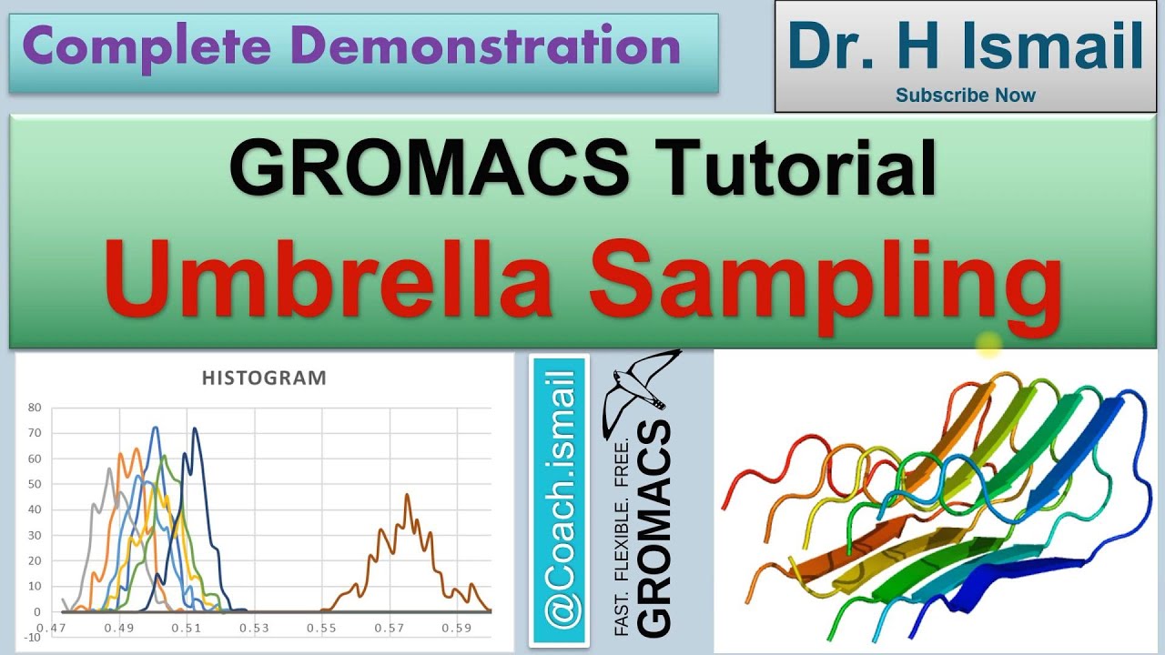 Umbrella Sampling for Free Energy Calculations (PMF Analysis) | GROMACS ...