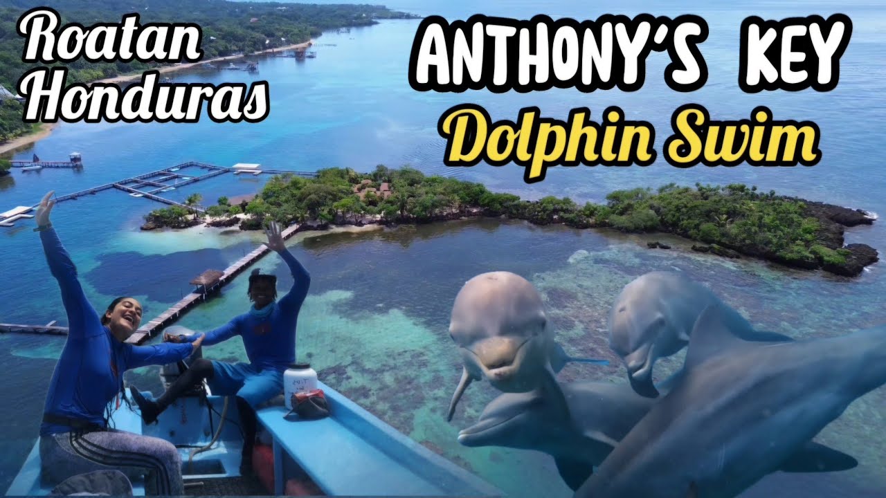 Roatan Honduras: Anthony's Key Dolphin Excursion - YouTube