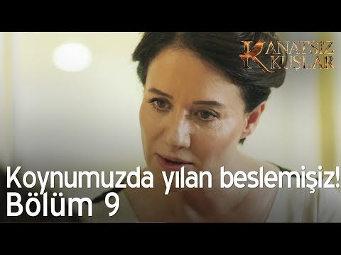 Koynumuzda yılan beslemişiz! - Kanatsız Kuşlar 9. Bölüm
