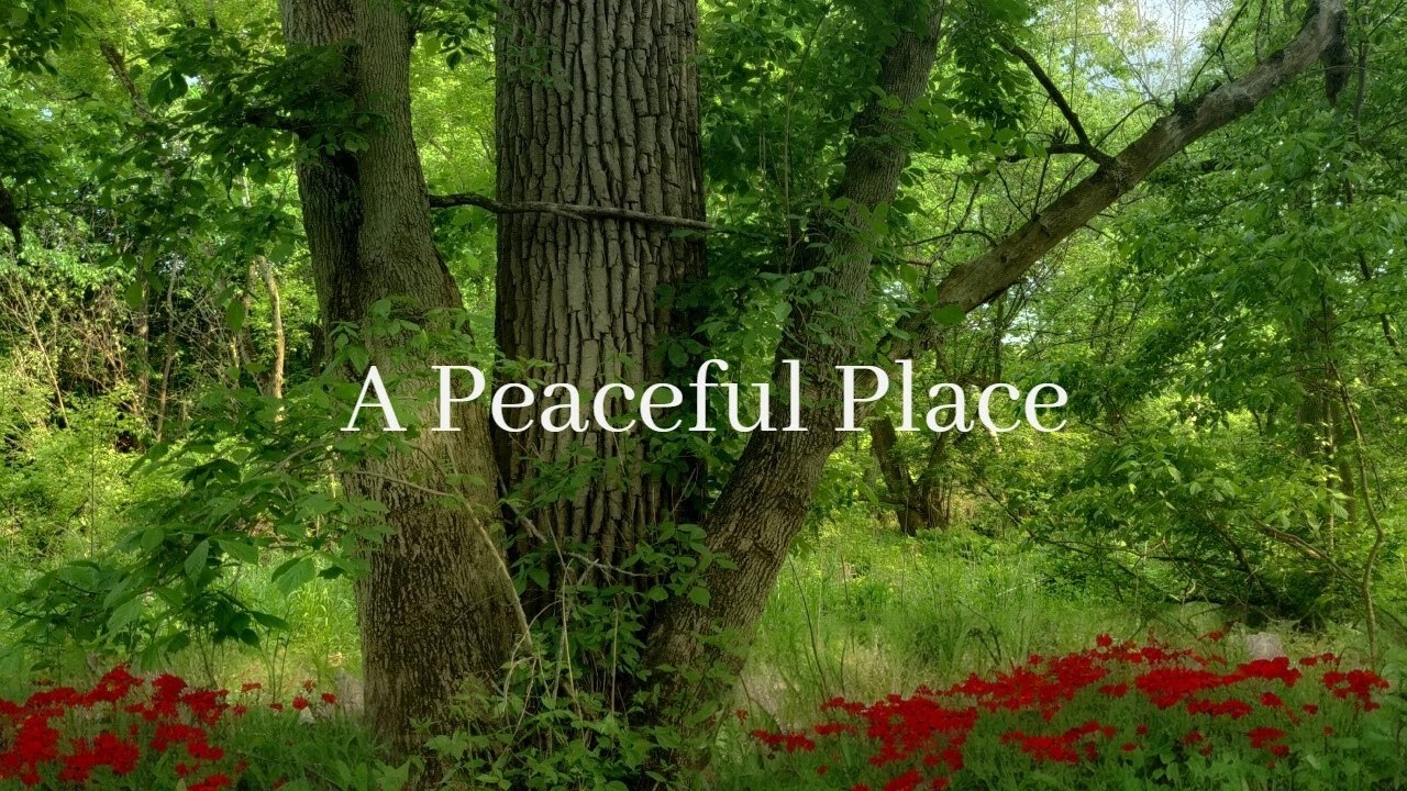 A Peaceful Place - YouTube