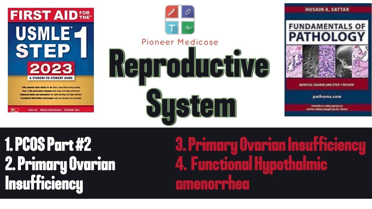 PCOS, ovarian insufficiency, HPO amenorrhea from First Aid ...