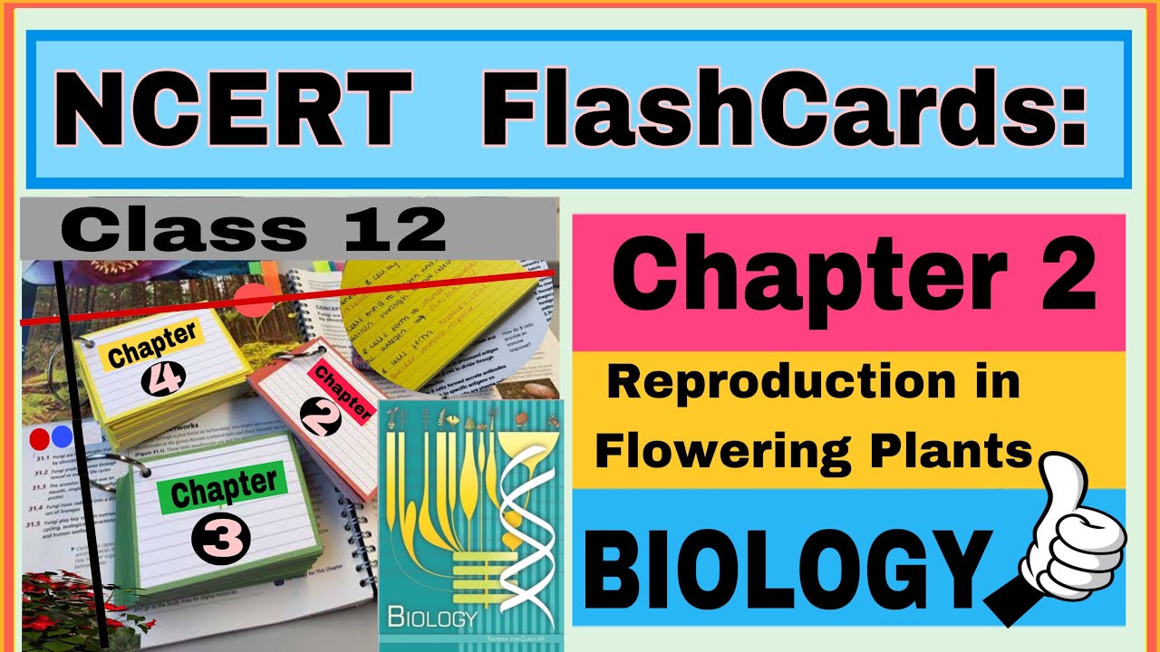 NCERT Flashcards ..Chapter 2/ Reproduction in Flowering Plants/ Class ...