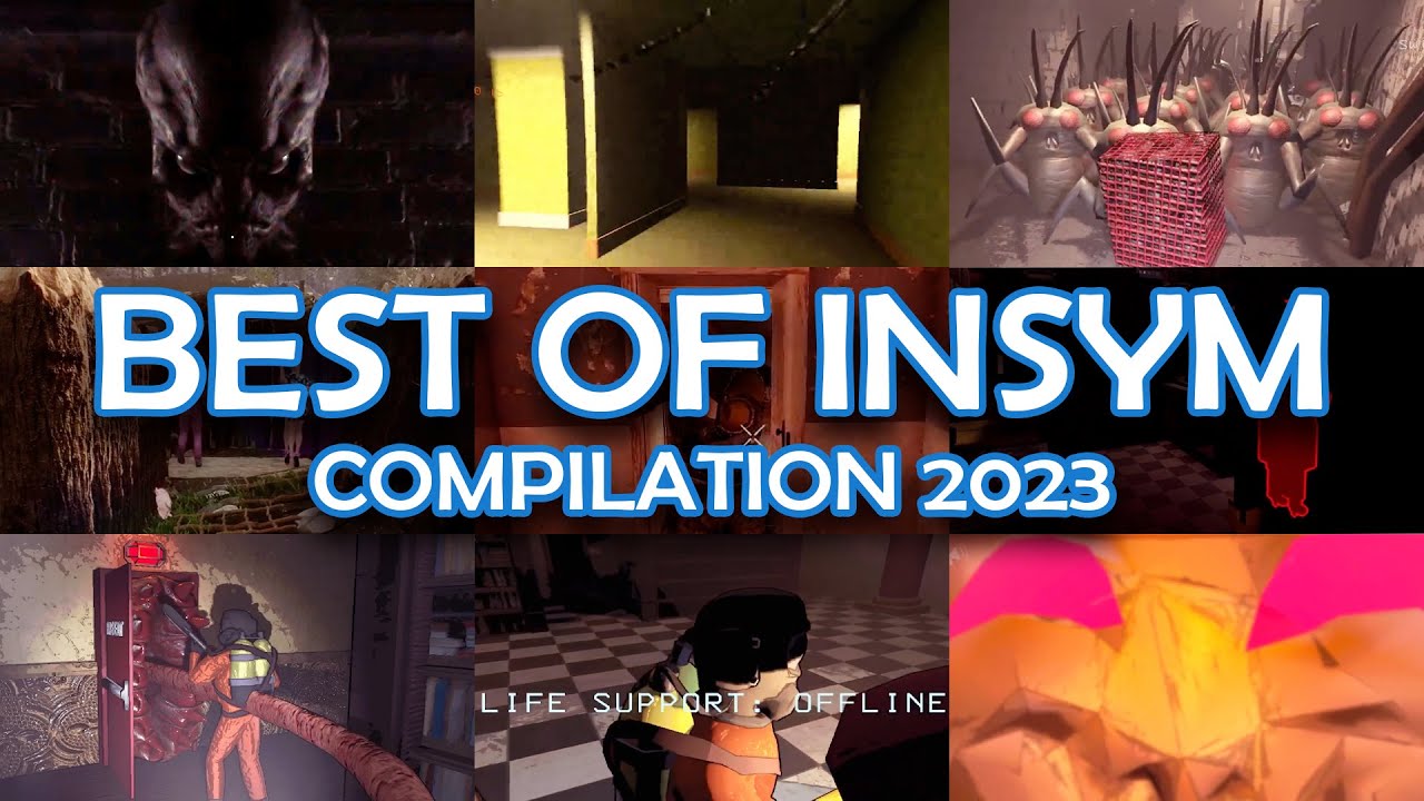 The BEST MOMENTS from Last Year - Insym Mega Compilation 2023 - YouTube
