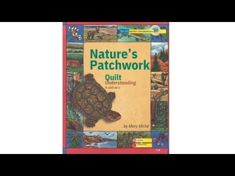 Nature’s Patchwork QUILT UNDERSTANDING HABITATS MyView Literacy 3rd ...