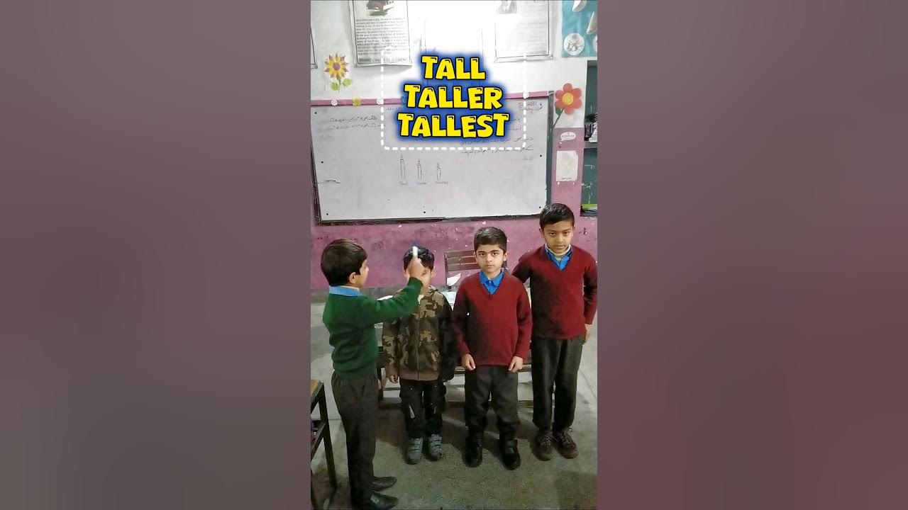 Compare Heights | Tall • Taller • Tallest | Classroom Activity for ...