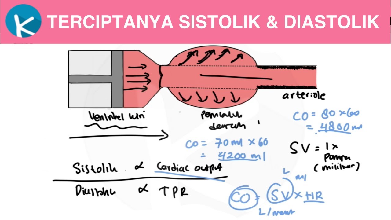 Patofisiologi Hipertensi (1/6) - Bagaimana Sistolik dan Diastolik ...