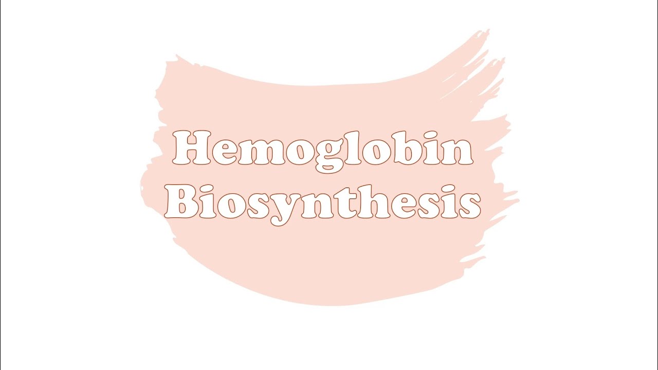 Hemoglobin Biosynthesis. How is Hemoglobin formed? | Medical Technology ...