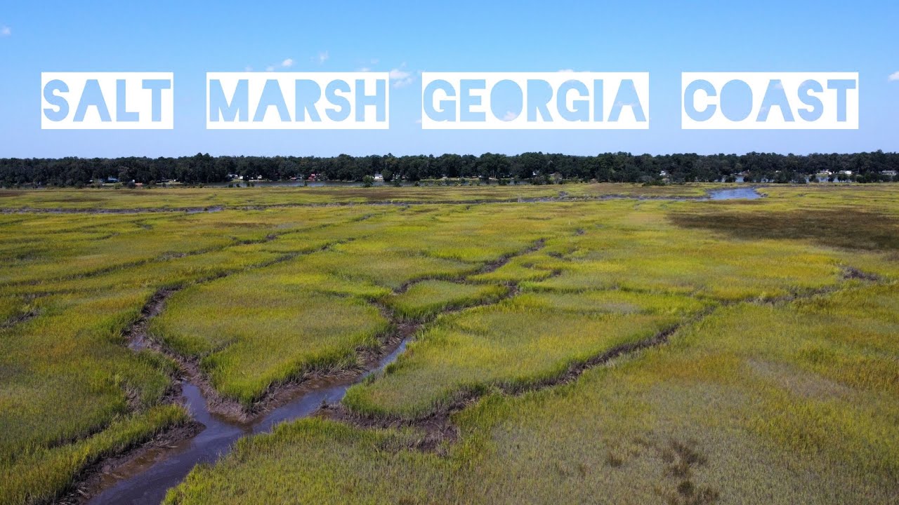 drone over salt marsh in Georgia. #drone #arialview #nature - YouTube