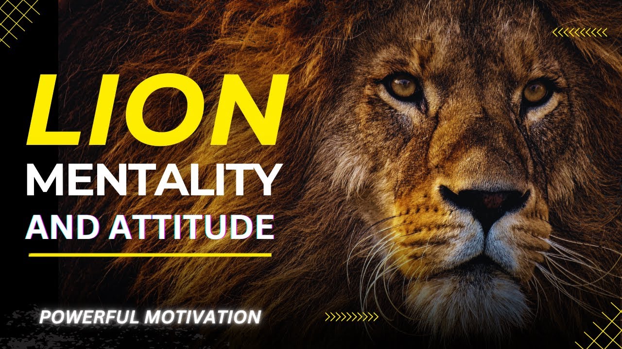 The Lion Mentality And Attitude | Embracing the Lion Attitude And ...