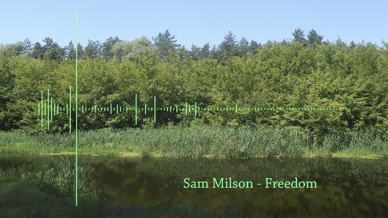 Infinite Echoes (Sam Milson) - Freedom - YouTube