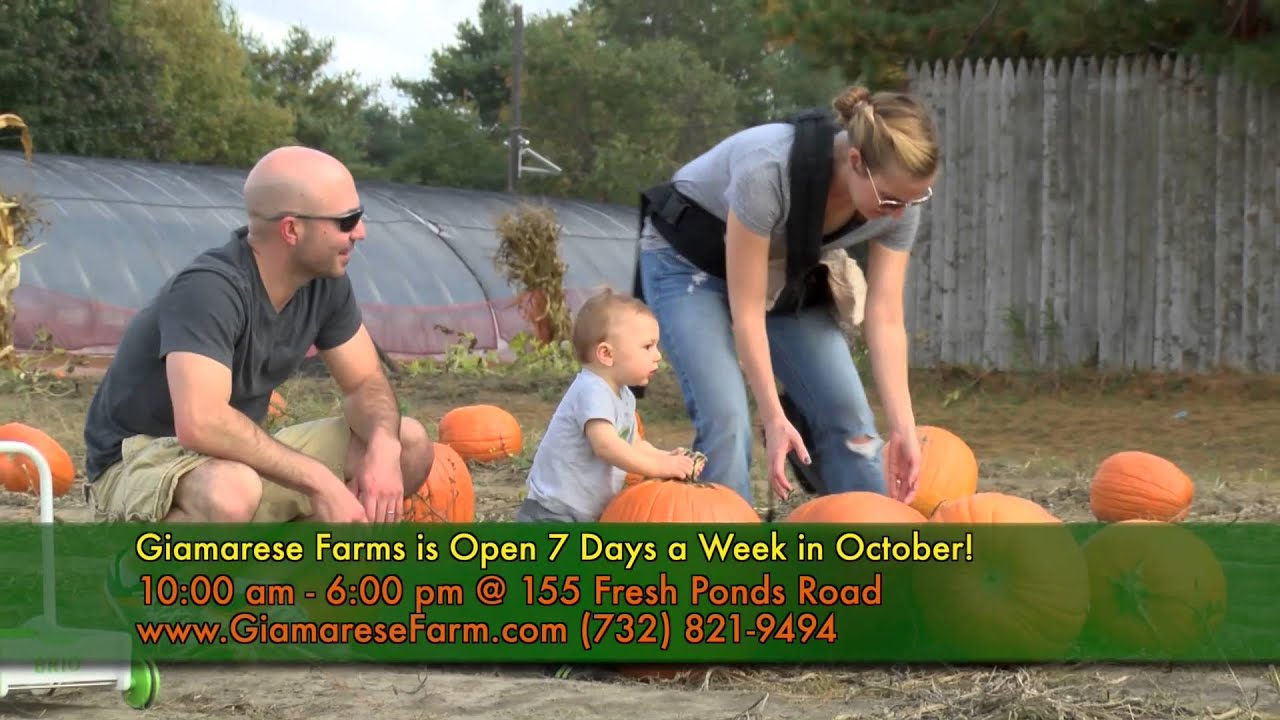 Giamarese Farm Tour Fall 2014 - YouTube