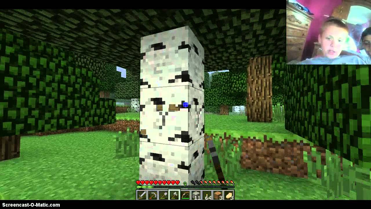 Minecraft Part 17:FOV:QUAKE PRO - YouTube