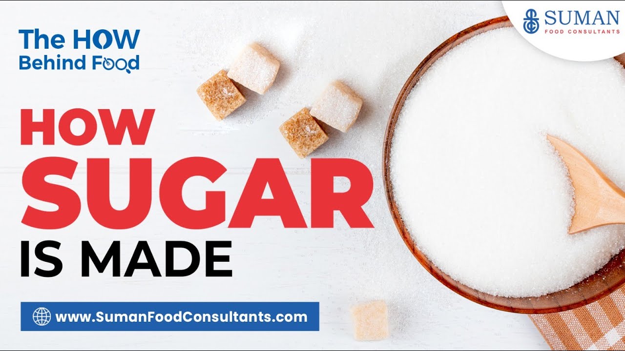 How is Sugar Produced? | Sugar Production Process | Suman Food ...
