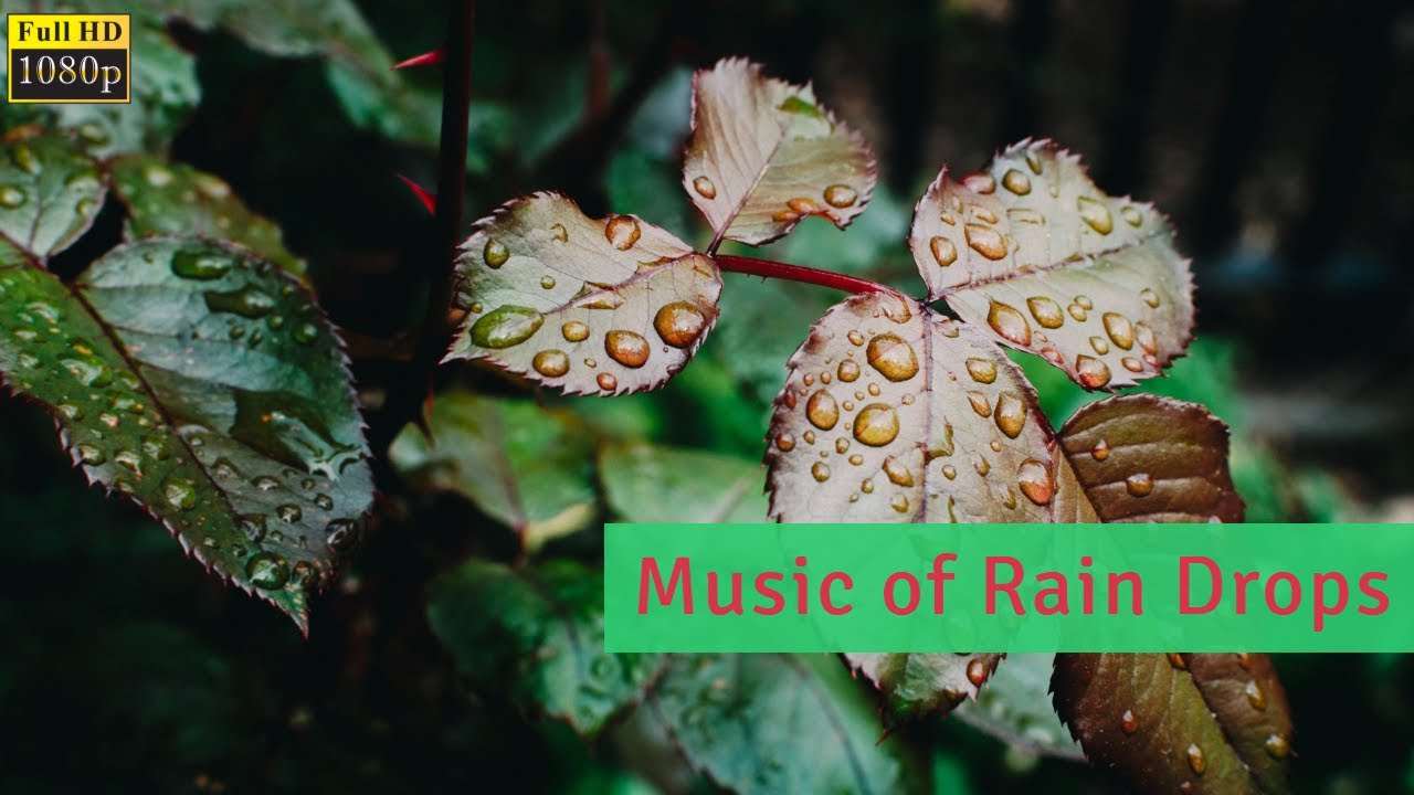 Relaxing Music of Rain Drops, Rain Storm Sounds - HD Video 1080p l High ...