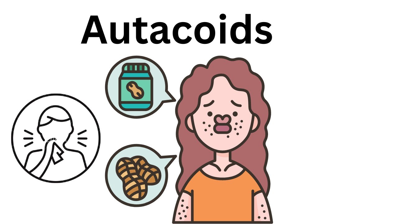 autacoids - YouTube