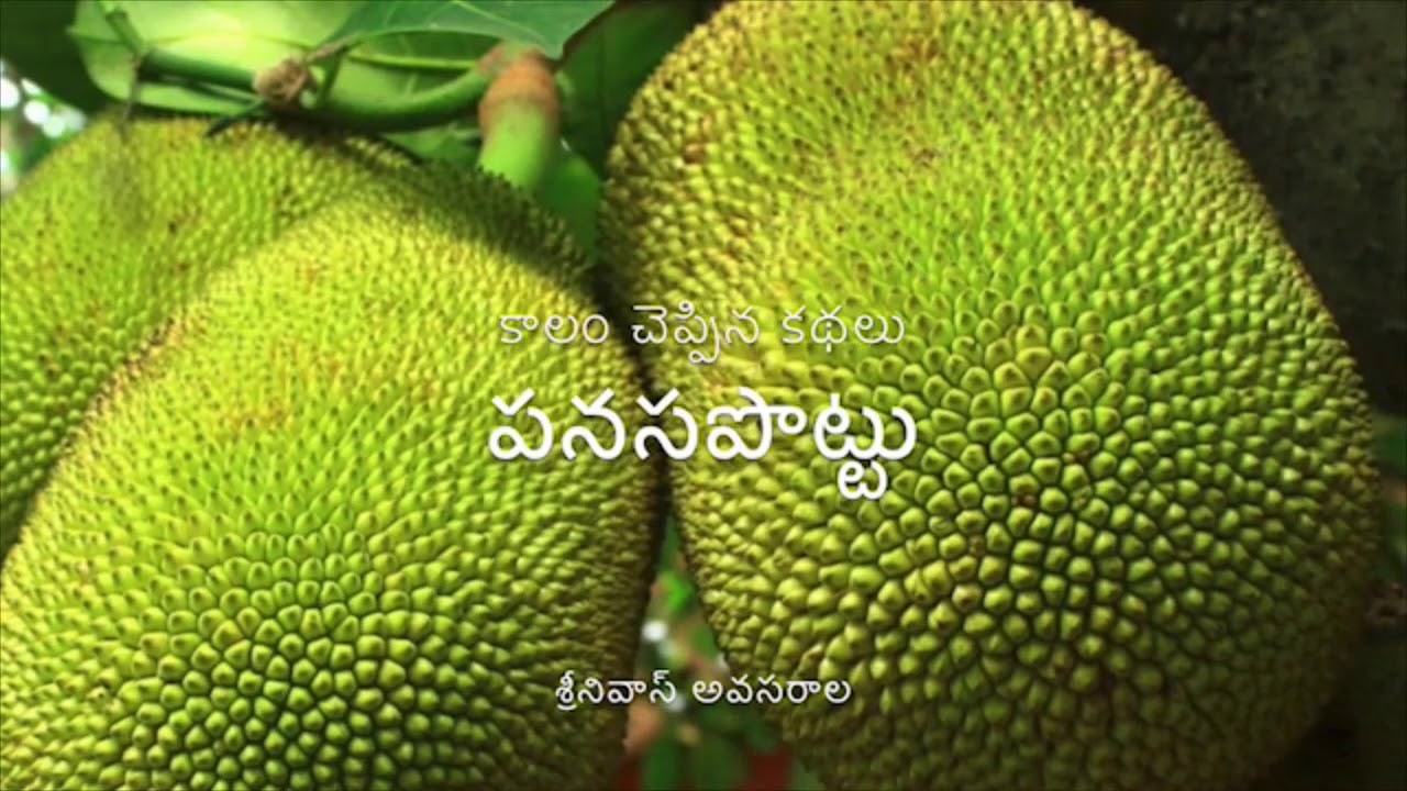 Panasa Pottu (పనస పొట్టు) - YouTube