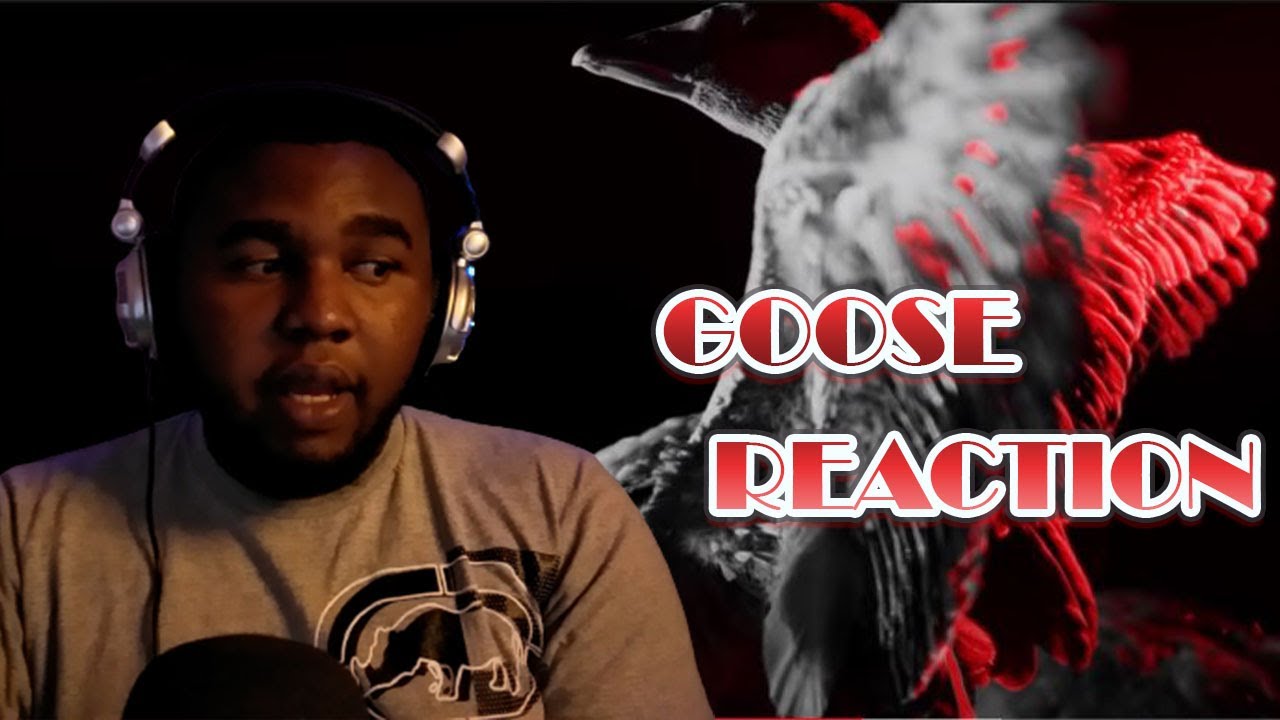 Polyphia-Goose Reaction - YouTube