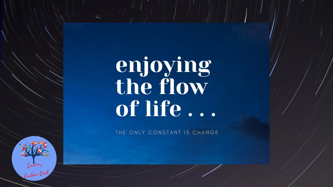 Enjoying the Flow of Life - Relaxing Contemplation - YouTube