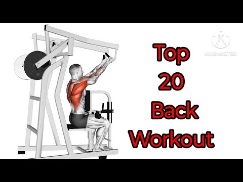 Top 20 Back Workout l Mohit Fitness - YouTube